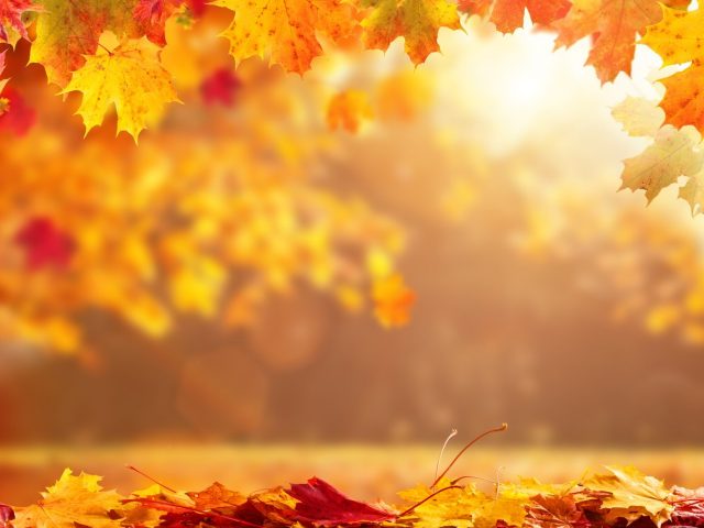 Newport Rhode Island Fall Events Your Calendar To Festivals newport-rhode-island-fall-events-your-calendar-to-festivals